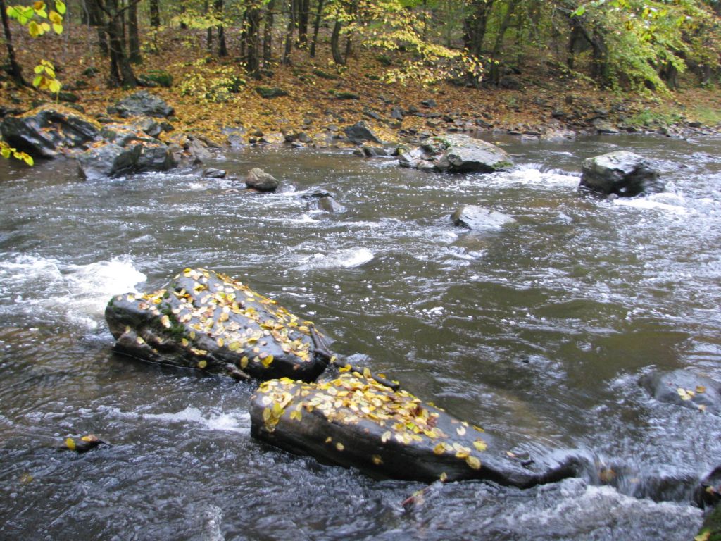 Kříže u zbytků Sedleckého hradu připomínají dávnou tragédii Žďár nad ...